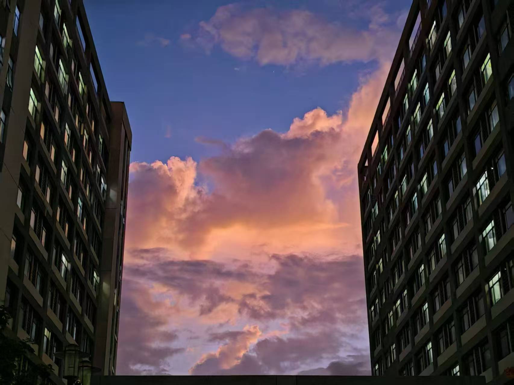 星瞳观危变，地慧守安澜